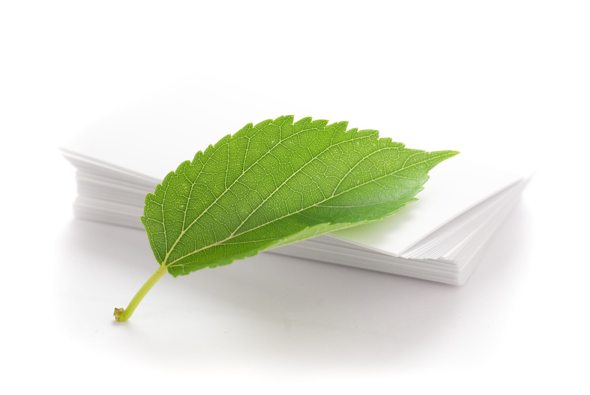 Papier mat ou papier brillant : lequel choisir