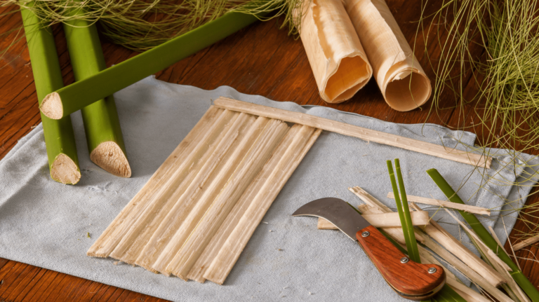 Comment est fait le papyrus ? - Blog OVOL