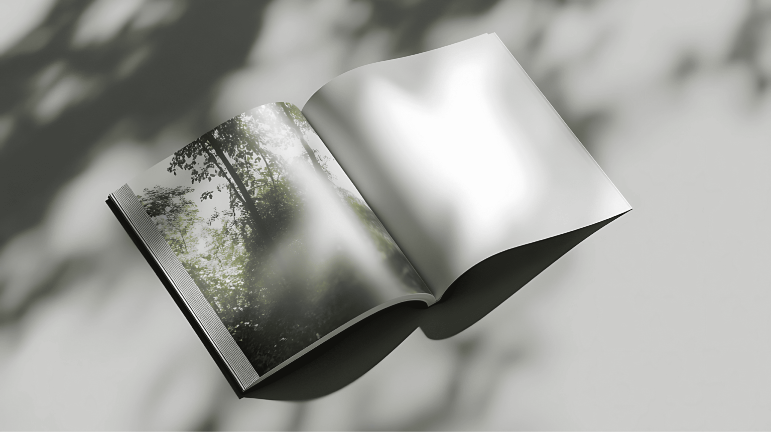 Papier - Blog OVOL